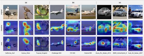 Two‐stage Feature Selection For Fine‐grained Image Recognition Via Partial Order Analysis And