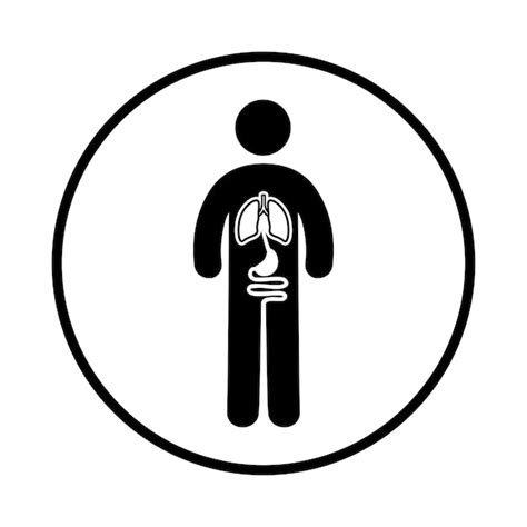 해부학 의료 아이콘 검은색 터 일러스트레이션 프리미엄 벡터