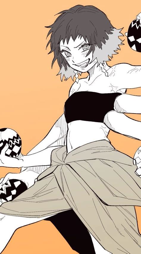 16 Susamaru Ideas Slayer Demon Slayer Anime
