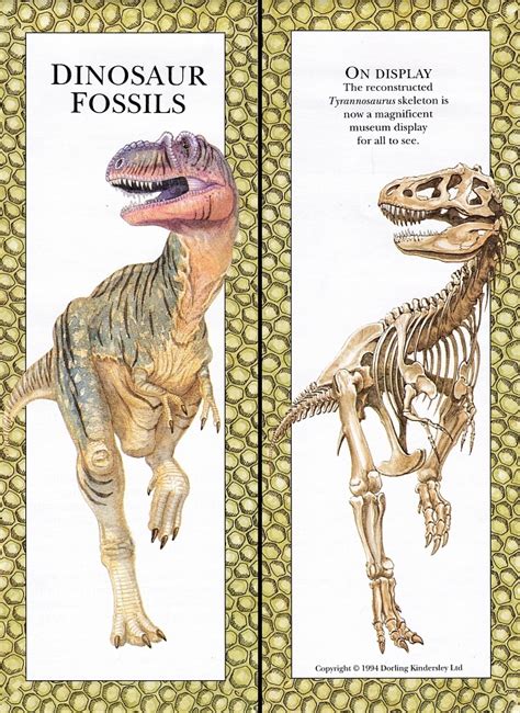 Vintage Dinosaur Art Books From The Dk Action Pack Love In The Time