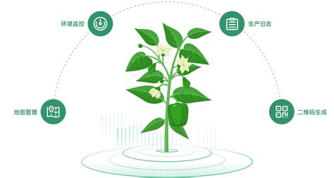 农产品种植管理系统农业erp