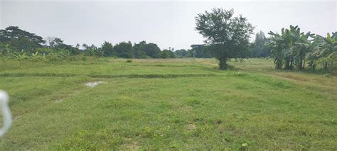 ขายที่ดินโฉนด80กว่าแปลงๆละ80 100ตรว ที่เหลือหักทางออกแล้ว20ไร่เศษไร่ละ1 5ล้านบาทต ท่าแลงอ ท่ายาง