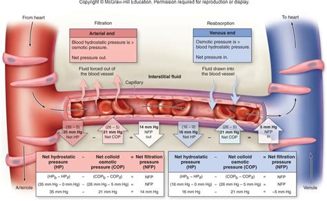 How Does Bulk Flow Work At Erin Love Blog