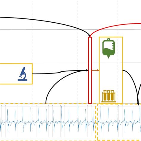 Example Representation Of Patient As A Graph Download Scientific Diagram