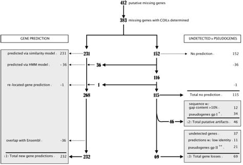 Flowchart Of The Computational Analysis The Left Pipeline Indicates