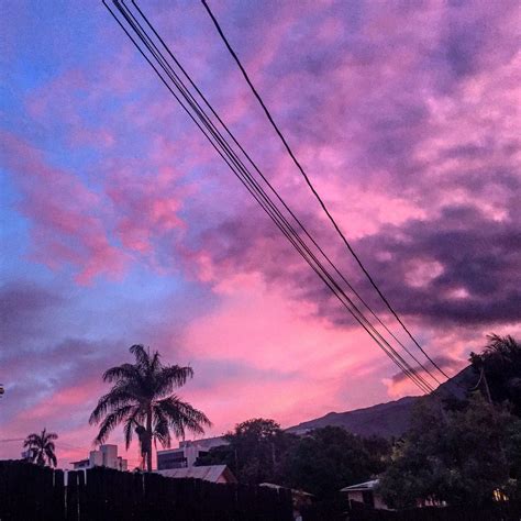 Cotton Candy Sunset A Vibrant Sunset Beach Scene Featuring A Flamingo