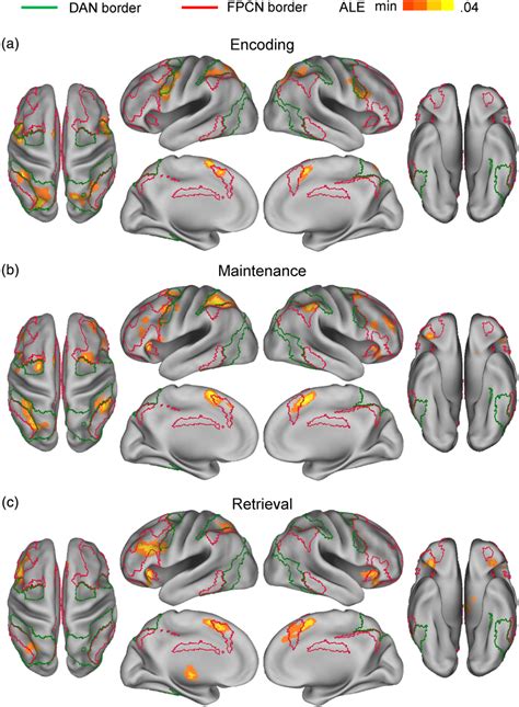 Above‐threshold Regions In Separate Ale Meta‐analyses Of A Encoding