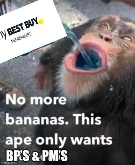 Sir He Got Another Bp” Meme Rbestbuyworkers