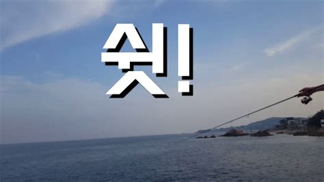 허접 무늬오징어 에깅낚시 캐스팅 샤크리 영상 웃음주의 Youtube