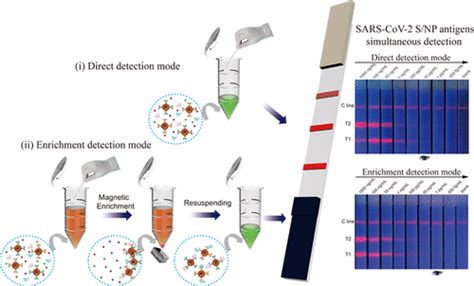 Ultrasensitive And Simultaneous Detection Of Two Specific Sars Cov 2 Antigens In Human Specimens