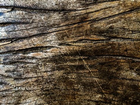 무료 이미지 추상 배경 판 갈색 닫다 색깔 구성 장식 디자인 더러운 틀 견목 자료 자연스러운 참나무 늙은 패널 무늬 널빤지 식물