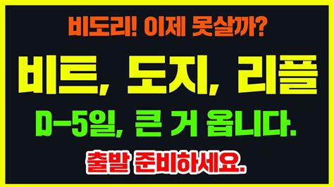 비도리 이제 못살까 비트 도지 리플 D 5일 큰 거 옵니다 출발 준비하세요 비트코인시세 비트코인유의 Youtube