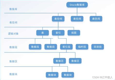 【云原生进阶之数据库技术】第二章 oracle 1 简介 oracle数据库综述 csdn博客
