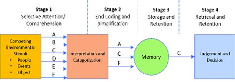 Social Perception A Social Information Processing Model Download Scientific Diagram