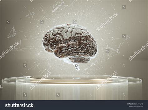 뇌 와이어프레임인간 뇌 디지털 3d 렌더링파란 스톡 일러스트 1991256248 Shutterstock
