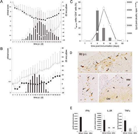 Active Eae Induction In Memory Rats A Eae Induction By Mbp Cfa