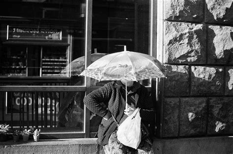 Untitled Chemotaxis Flickr