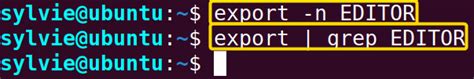 the “export” command in linux [8 practical examples]