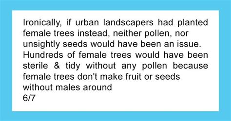 Scientist Discovers That Tree Sexism Might Be A Major Reason Behind Many Spring Allergies