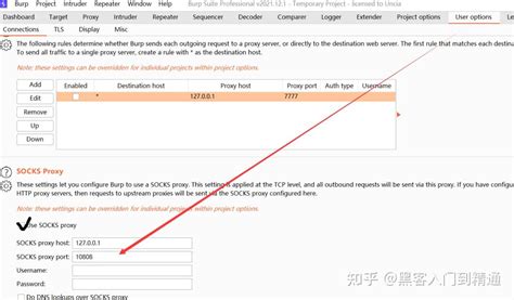 【2023最新版】超详细burp suite安装保姆级教程，burp suite的基本介绍及使用，收藏这一篇就够了 知乎