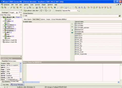 02 Ibexpert02 08 Ibexpert Tools Menuextract Metadatausing Extract Metadata To Repair Database