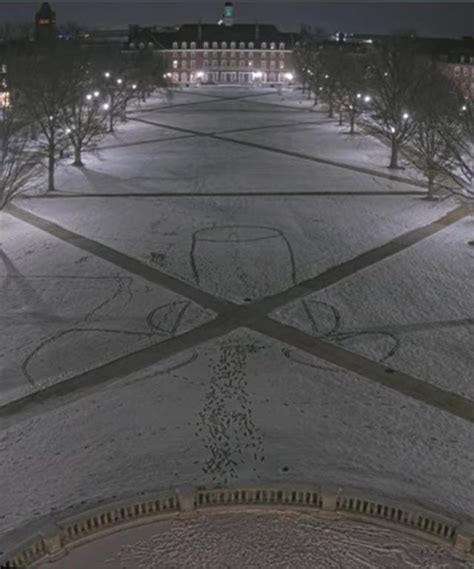 Seen On Quad Cam R Uiuc