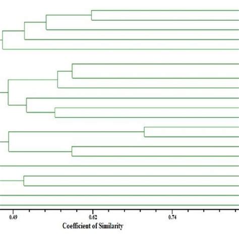 Dendrogram Of 21 Accessions Based On Similarity Matrix From 34 Ssr Download Scientific Diagram
