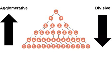 Visualizing Us Arrests With Hierarchical Clustering And T Sne