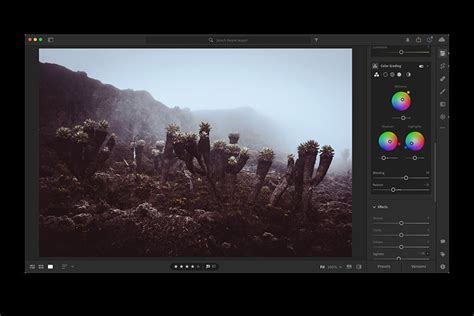 Hva er forskjellen på Lightroom og Lightroom Classic? | Digital-foto.no