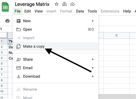 Leverage Matrix Micros Trader