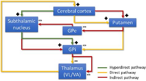 Representation Of The Hyperdirect Direct And Indirect Pathways Gpe Download Scientific