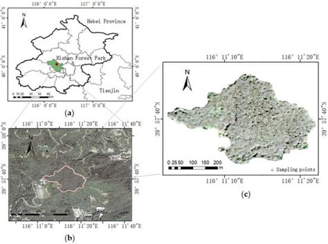 Research On Leaf Area Index Inversion Based On Less 3d Radiative