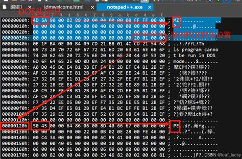 pe文件结构详解（dos头 nt头 节表 导入表）使用010 editor手动解析notepad exe的pe结构 010editor