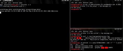 using ssh socks proxies with msf reverse tcp payloads anestis bechtsoudis