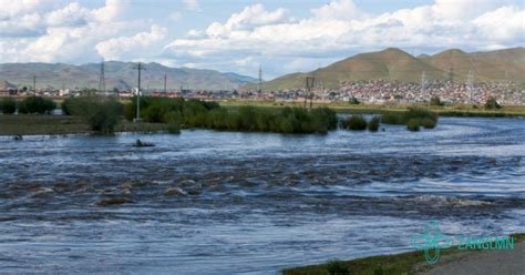 Zangi Mn Монгол улсын 8 иргэн Турк улсын 1 иргэн мансууруулах эм сэтгэцэд нөлөөт бодис