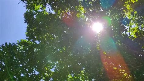 𝐼 𝑠𝑡𝑖𝑙𝑙 𝑐𝑎𝑛𝑡 𝑔𝑒𝑡 𝑒𝑛𝑜𝑢𝑔ℎ 𝑜𝑓 𝑡ℎ𝑖𝑠 𖤓°⋆ೃ࿔･ Tumbex