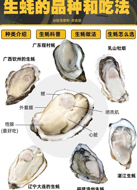 牡蛎是不是生蚝（牡蛎是不是生蚝的一种） 十日日知识