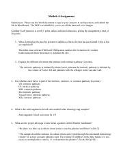 Mod 6 Assignment Worksheet Docx Module 6 Assignment Submission Please Use The Word Document