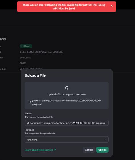 There Was An Error Uploading The File Invalid File Format For Fine