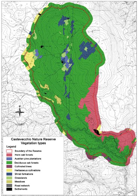 Vegetation Physiognomic Types In The Castelvecchio Nature Reserve