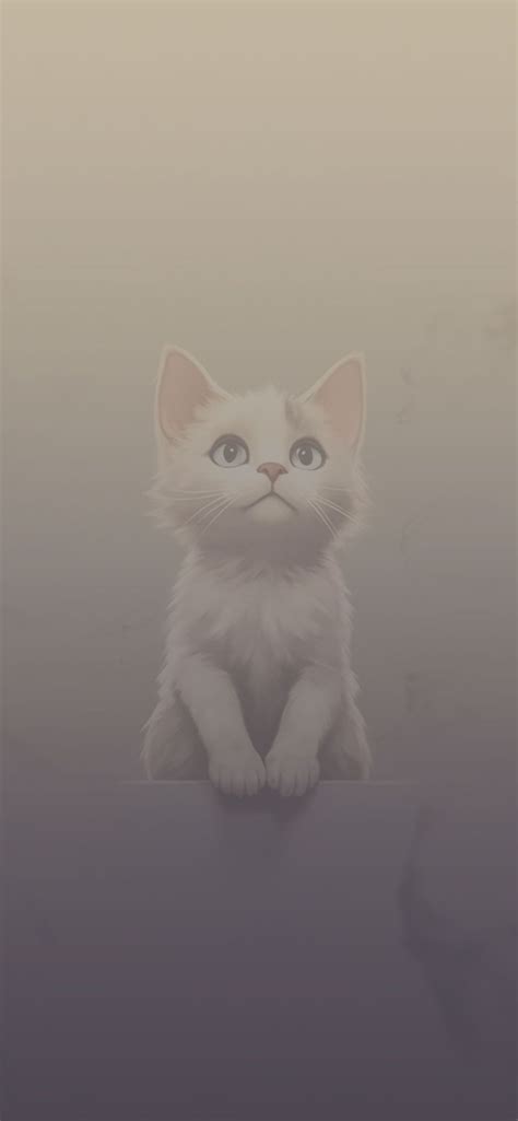 Cat Fur Wallpapers 4k Hd Backgrounds On Wallpaperbat