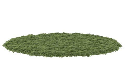 Grass Circle Pngs For Free Download