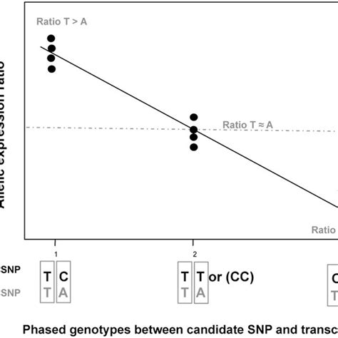 Statistical Model For The Detection Of Cis Acting Variants We Applied