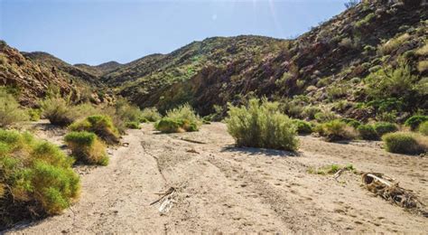 Agua Caliente Band Of Cahuilla Indians