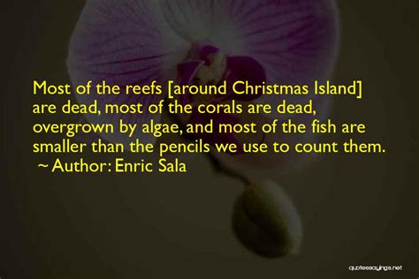 Top 72 Quotes And Sayings About Algae