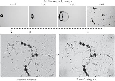 Figure 8 From Application Of Deep Learning And Inline Holography To