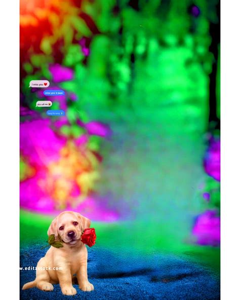 Dog Cb Background Images