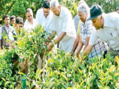 Enhancing Ecological Connectivity Ceylon Today