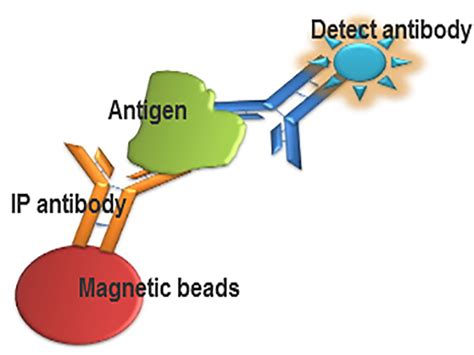 脐带血单个核细胞（cbmcs） 吉诺生物 吉诺生命健康控股集团有限公司