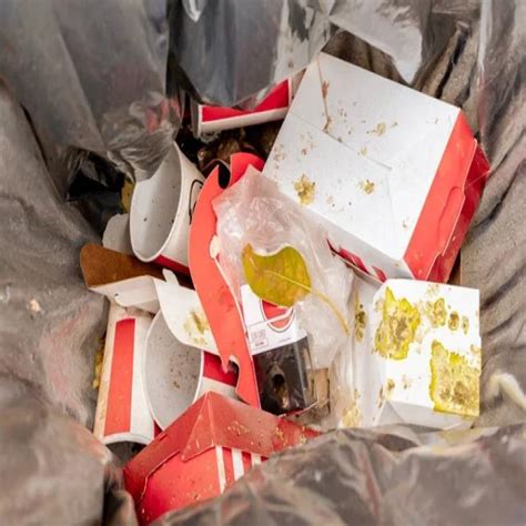 WasteInstanceSegment Images Instance Segmentation Dataset By CapstoneProjectWasteSegmentation